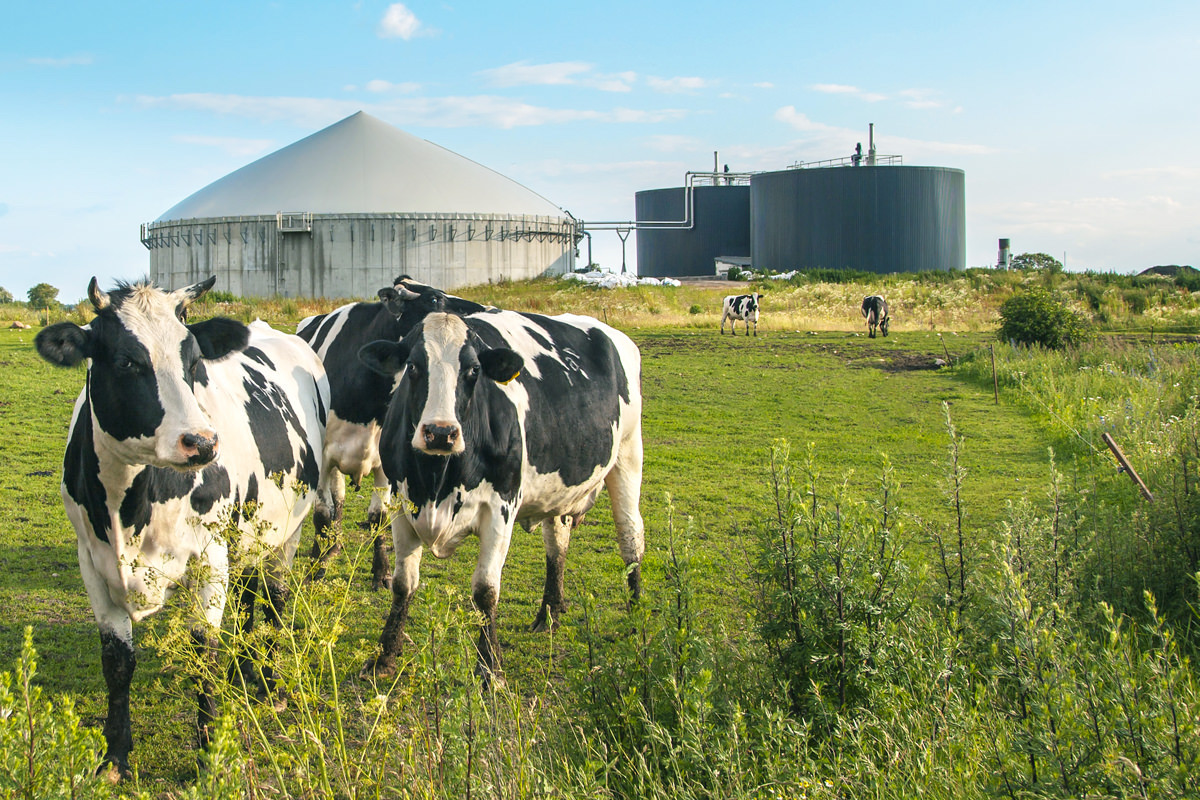Biogas | Geoscience Enterprise Official Website